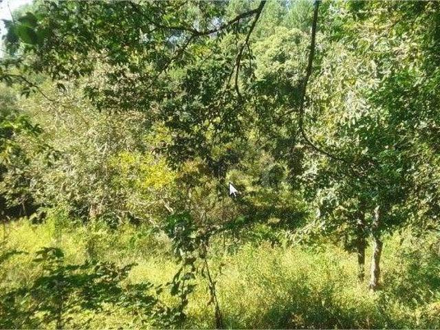 Área à venda, 4000 m² por R$ 265.000,00 Florescente Viamão/RS