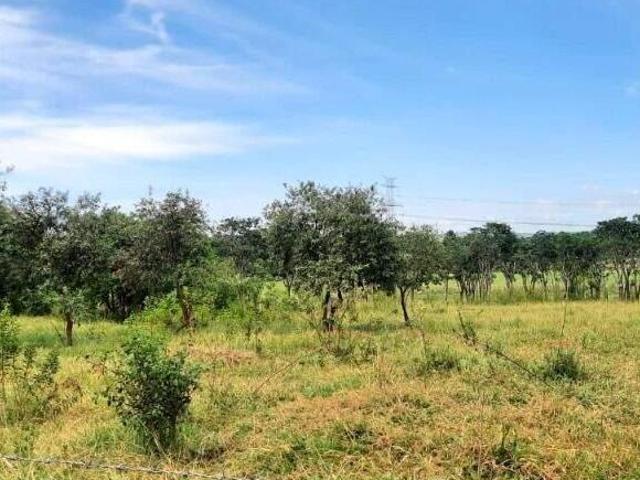 Área à venda, 44165 m² por R$ 950.000,00 Campestre Piracicaba/SP