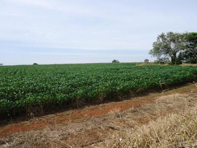 Área à venda, 45000 m² por R$ 2.000.000,00 Ipanema Das Pedras Sorocaba/SP
