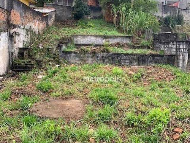 Área à venda, 486 m² por R$ 875.000,00 Vila Baeta Neves São Bernardo do Campo/SP