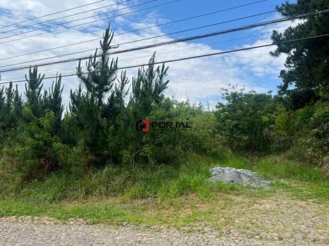 Área à venda, 4973 m² por R$ 3.500.000,00 Granja Viana Cotia/SP