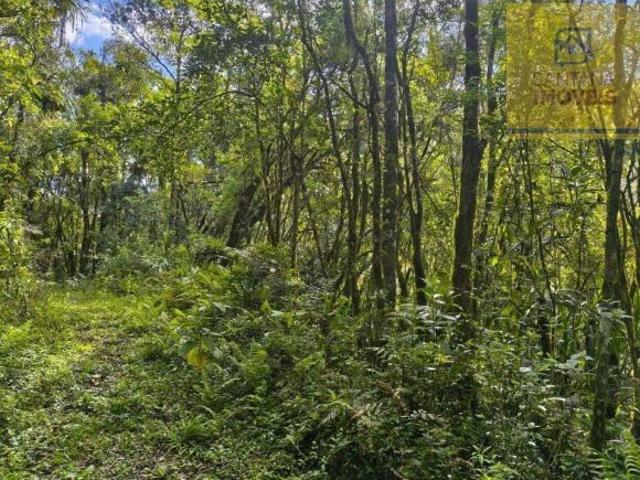 Área à venda, 58650 m² por R$ 650.000,00 Bateias Campo Largo/PR