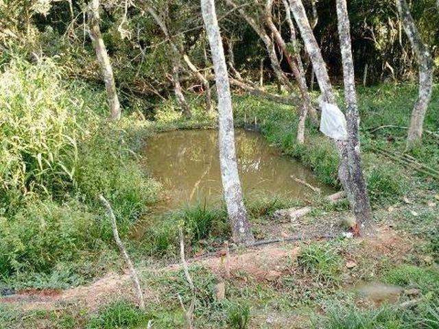 Área à venda, 6000 m² por R$ 2.000.000,00 Lagoa Vargem Grande Paulista/SP