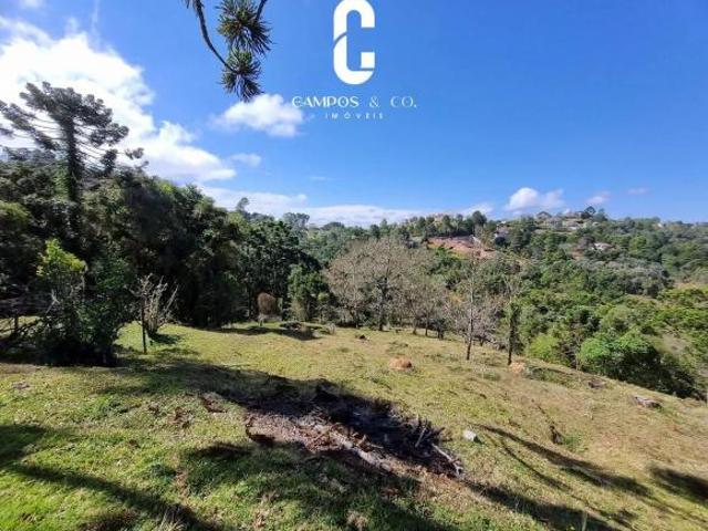 Área à Venda 60.000 M2, Vila Natal, Campos Do Jordão, SP