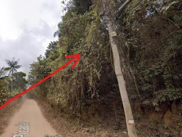 Área à Venda – 60.000 m² com Eucaliptos – Franco da Rocha Bairro dos Valos