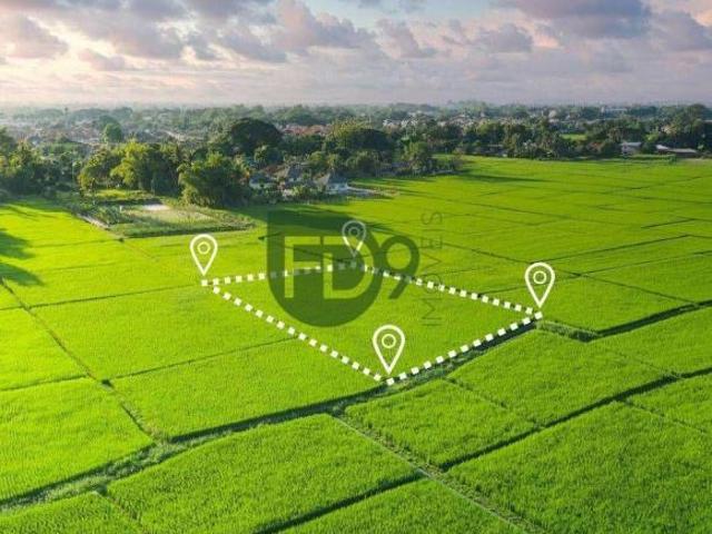 Área à venda, 63400 m² por R$ 7.670.000,00 Santo Antonio do Sapezeiro Santa Bárbara D&apos Oeste/SP