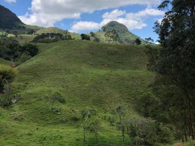 Área à venda, 64.000 m² por R$ 1.200.000 Serrano São Bento do Sapucaí/SP