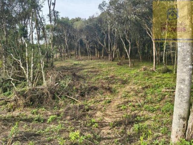Área à venda, 7000 m² por R$ 420.000 Bateias Campo Largo/PR