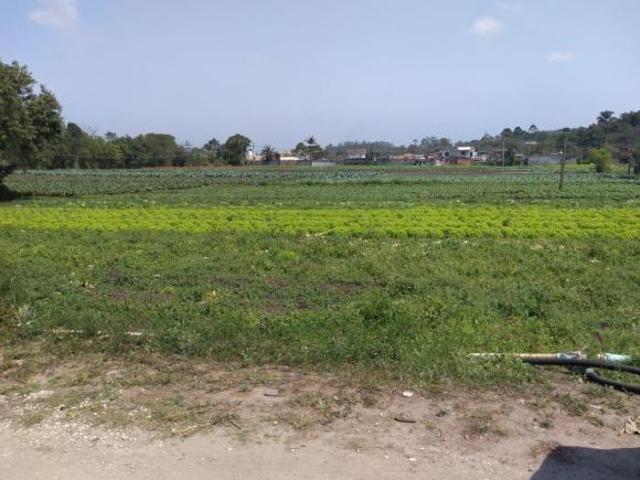 Área à venda, 75000 m² por R$ 7.500.000,00 Parque Palmeiras Suzano/SP