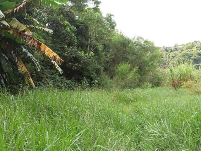 Área à venda, 7632 m² por R$ 1.526.000,00 Capuava Embu das Artes/SP