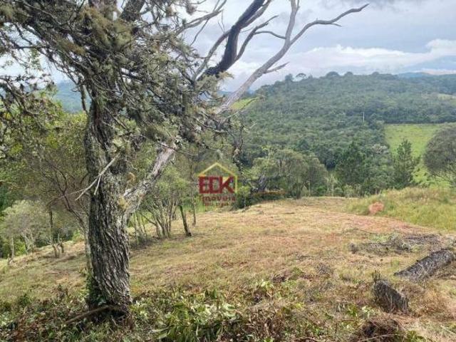 Área à venda, 7800 m² por R$ 330.000,00 Zona Rural Cunha/SP
