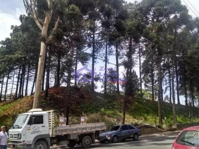 Área à venda, 8163 m² por R$ 6.800.000,00 Jardim São Paulo Itaquaquecetuba/SP
