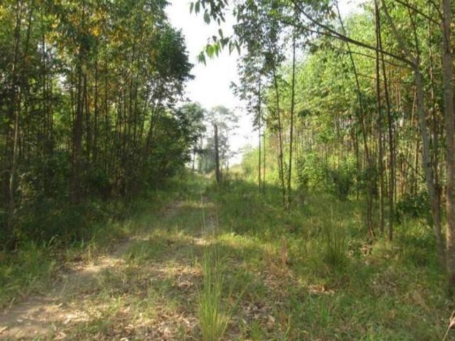 Área à venda, 90000 m² por R$ 2.250.000,00 Santa Luzia Charqueada/SP