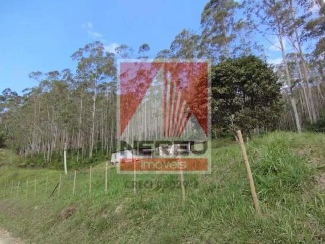 Área à Venda – 93.900 m² a Apenas 2 km da BR 116