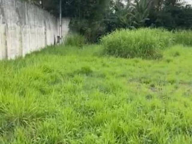 Área à venda, 9.867 m² para Incorporação permite construir 9 andares por R$ 16.000.000 Colônia S