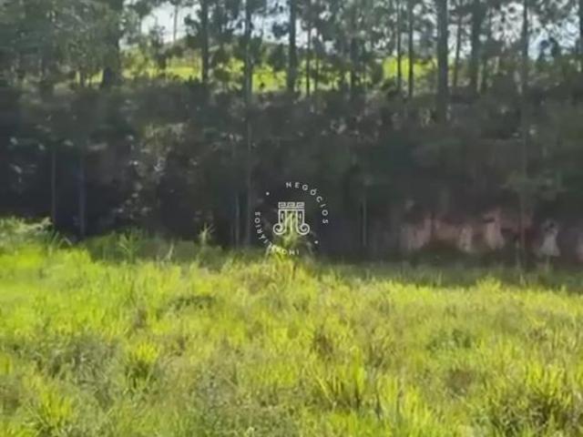 ÁREA À VENDA COM FRENTE PARA A RODOVIA EDGAR MÁXIMO ZAMBOTTO JARINU/SP