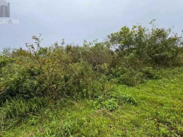 Área à Venda com 13 hectares em Jardim do Cocão, Viamão, RS – Ótimo Preço!
