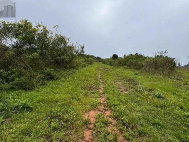 Área à Venda com 13 hectares em Jardim do Cocão, Viamão, RS – Ótimo Preço!