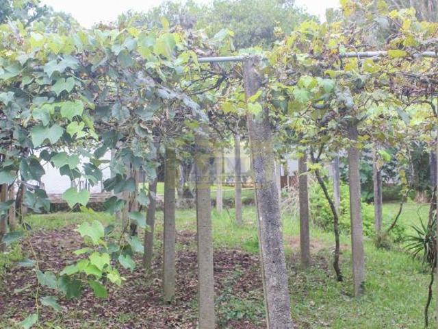 Área à venda com 39.051m² no bairro Vila Fuck PIRAQUARA / PR