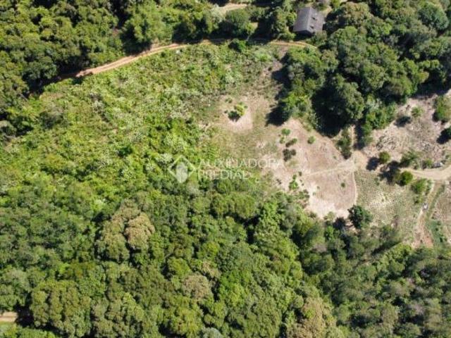 Área a Venda a Poucos Metros do Centro de Nova Petrópolis