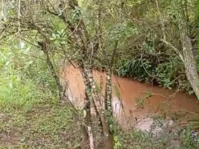Área à Venda de 30 Hectares com Rio na Divisa e Fácil Acesso em Andrelândia MG