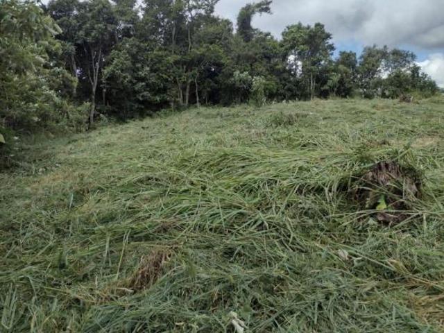 Área à venda em Cotia, Parque Monjolo