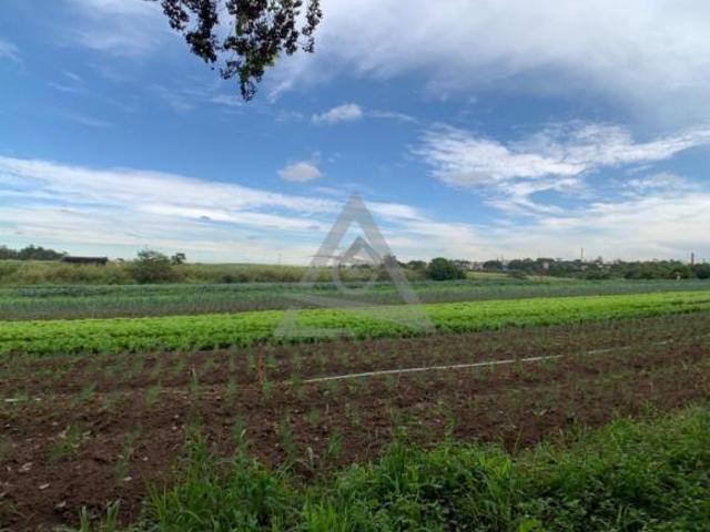 Área à venda em Campinas, Jardim Santa Genebra II Barão Geraldo, com 10699 m²