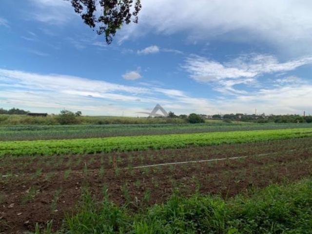 Área à venda em Campinas, Jardim Santa Genebra II Barão Geraldo, com 10699 m²