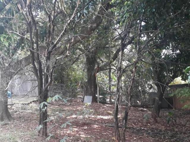 Área à venda em Campinas, Parque Taquaral, com 2502.5 m²