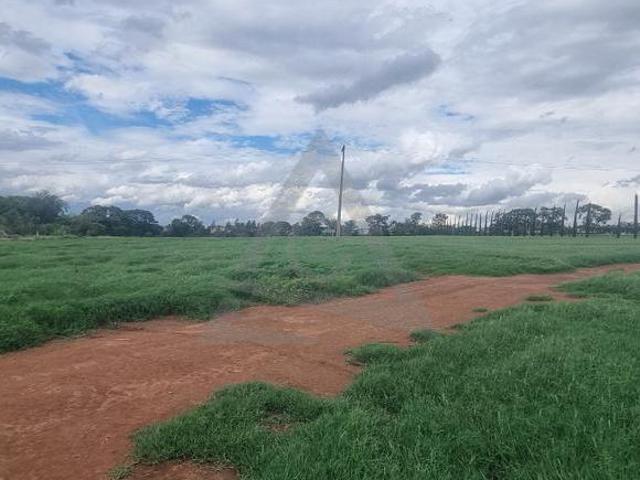 Área à venda em Jaguariúna, Jardim Roseira, com 55000 m²