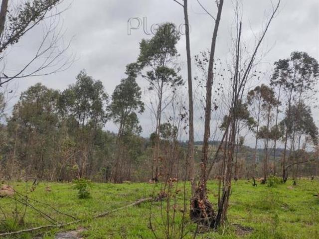 Área à venda em Louveira, Leitão, com 26000 m²