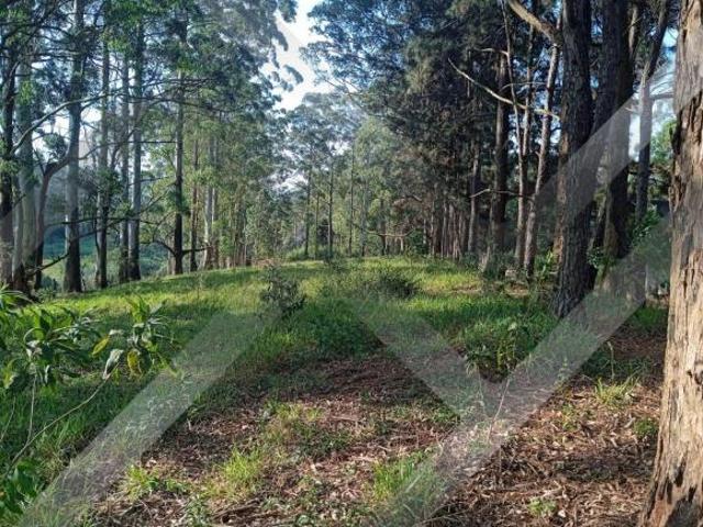 AREA A VENDA EM SANTANA DE PARNAIBA
