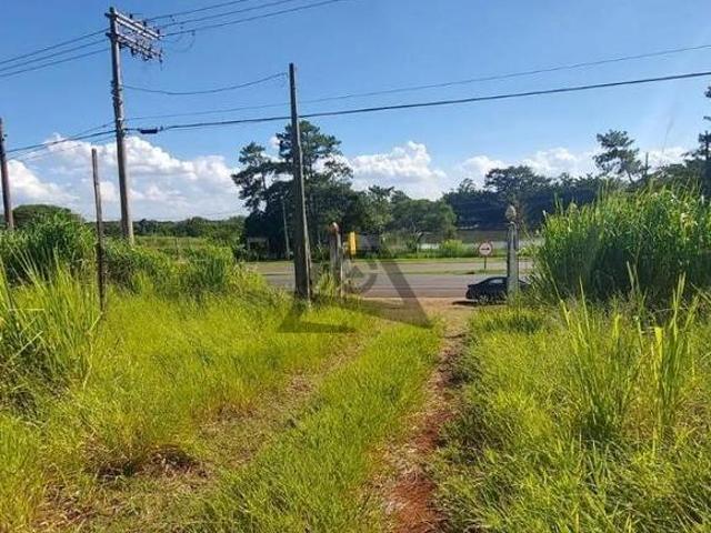Área à venda em Paulínia, Betel, com 125000 m²