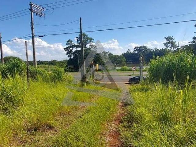 Área à venda em Paulínia, Betel, com 125000 m²