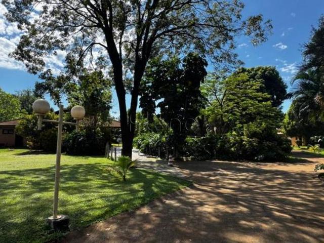 Área à venda em Paulínia, Santa Terezinha, com 8050 m²