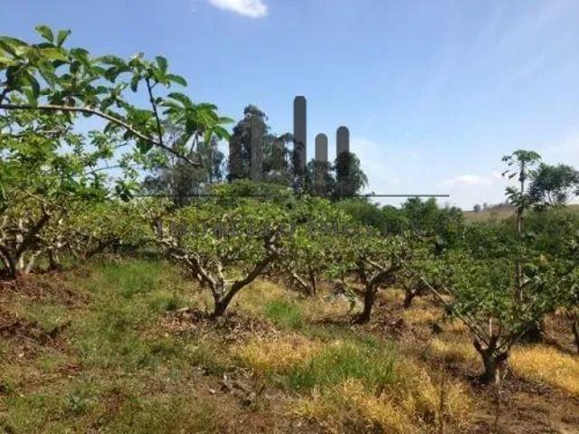 Área à venda em Valinhos, Reforma Agrária, com 111000 m²