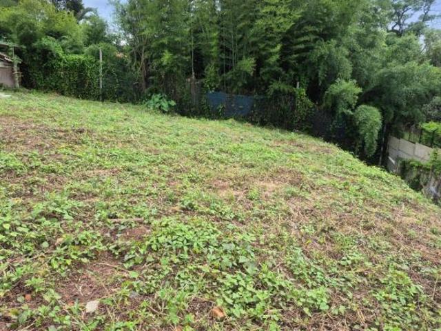 Área à Venda na Rua Nhonho de Lima – Palmeiras | 1.600m²