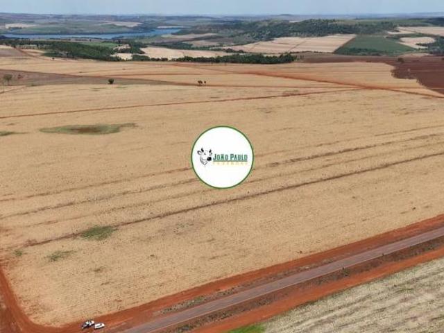 Área arrendada em Uberaba MG 43 Hectares 100% PLANTADA Terra excelente