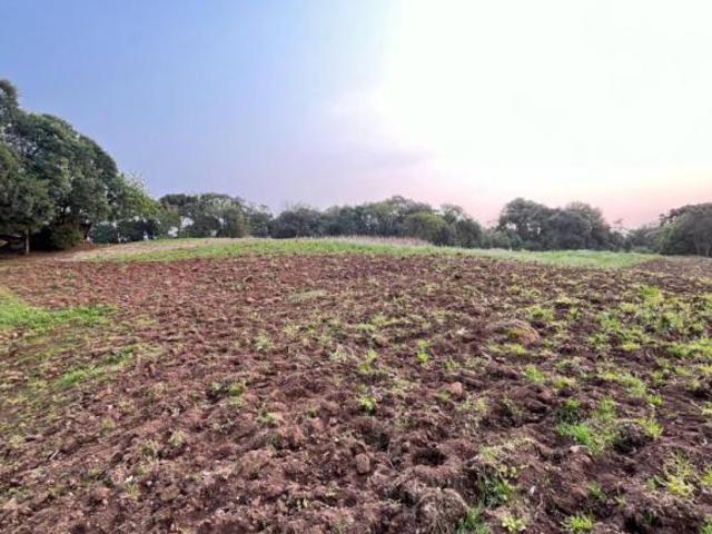 Área Bairro