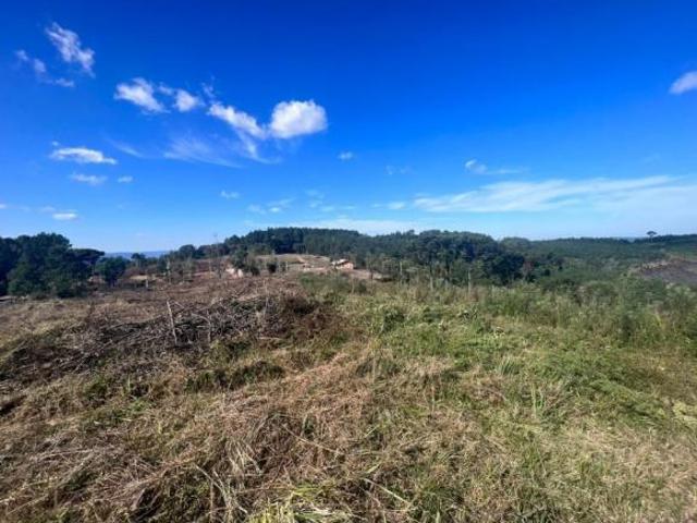 Area Bairro Tapera