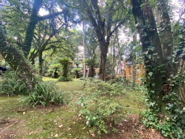 Area Bairro Vila Luiza