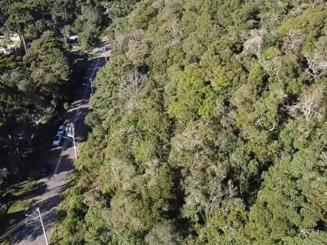Area Bairro Caracol