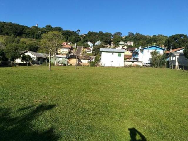 Area Bairro Floresta