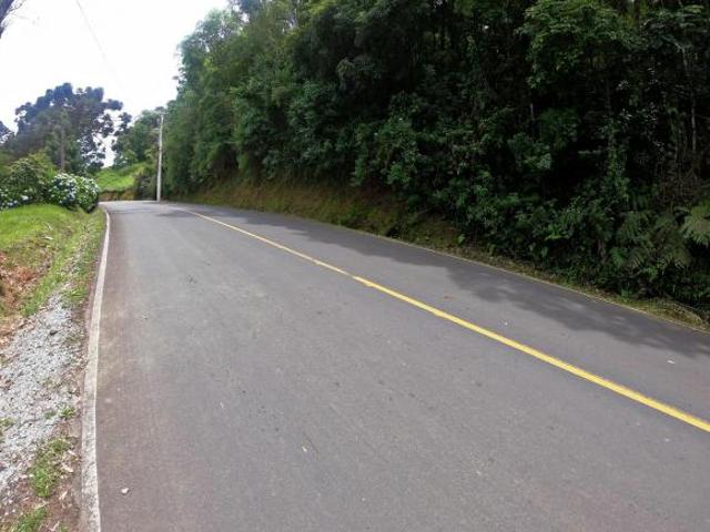Area Bairro Floresta