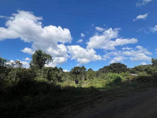 Area Bairro Linha 15