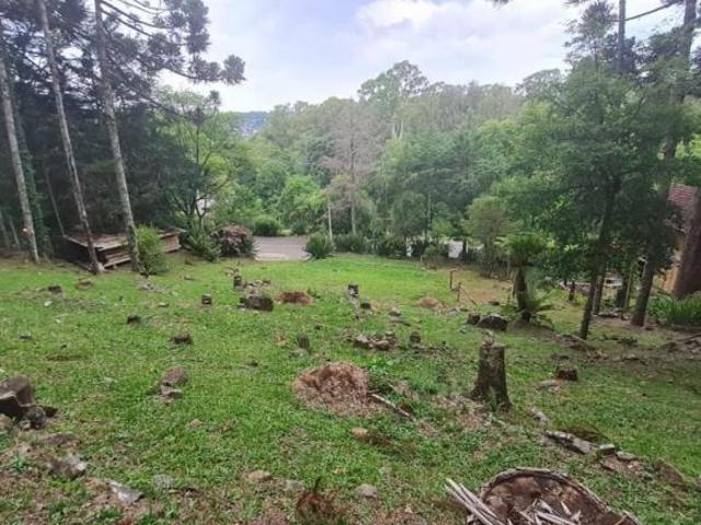 Área Bairro Linha Ávila