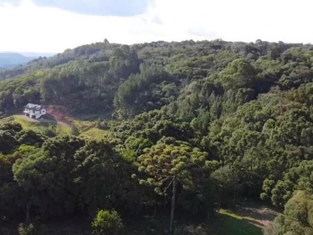 Area Bairro Linha Bonita