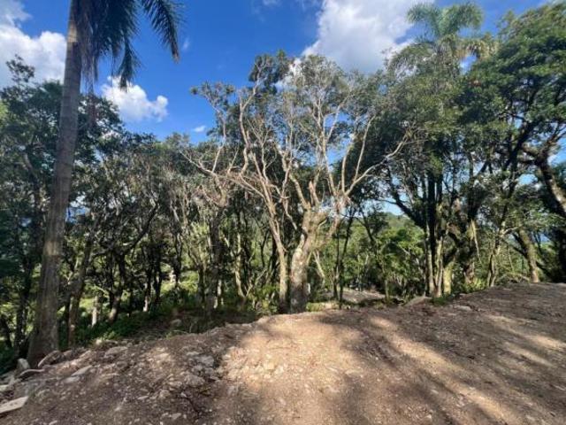Área Bairro Sierra Park