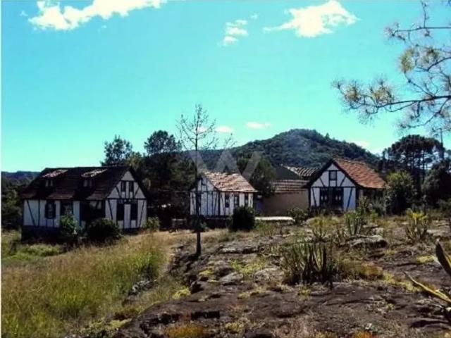 Área Centro Nova Petrópolis