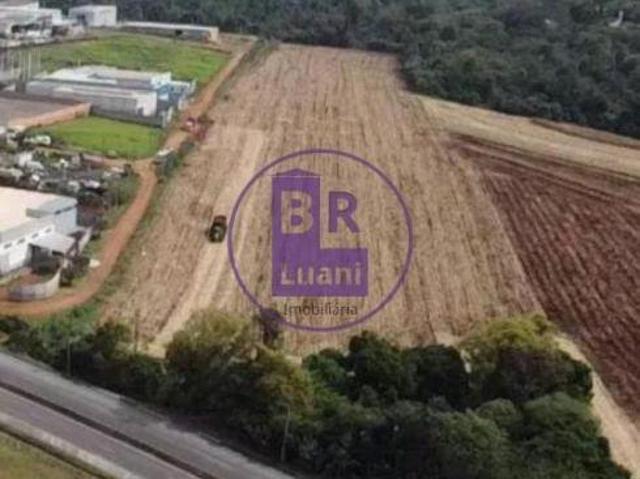 AREA / CHACARA A VENDA – FRENTE AO CEASA DE LONDRINA